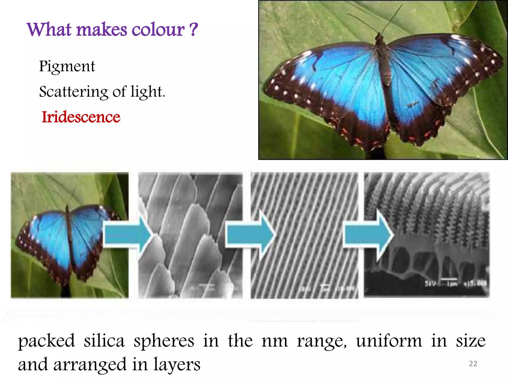 Role of nanotechnology in insect pest management | PPTX