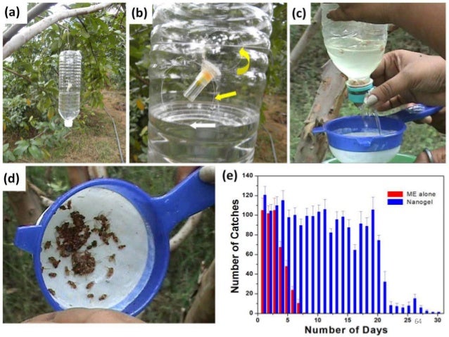 Role of nanotechnology in insect pest management