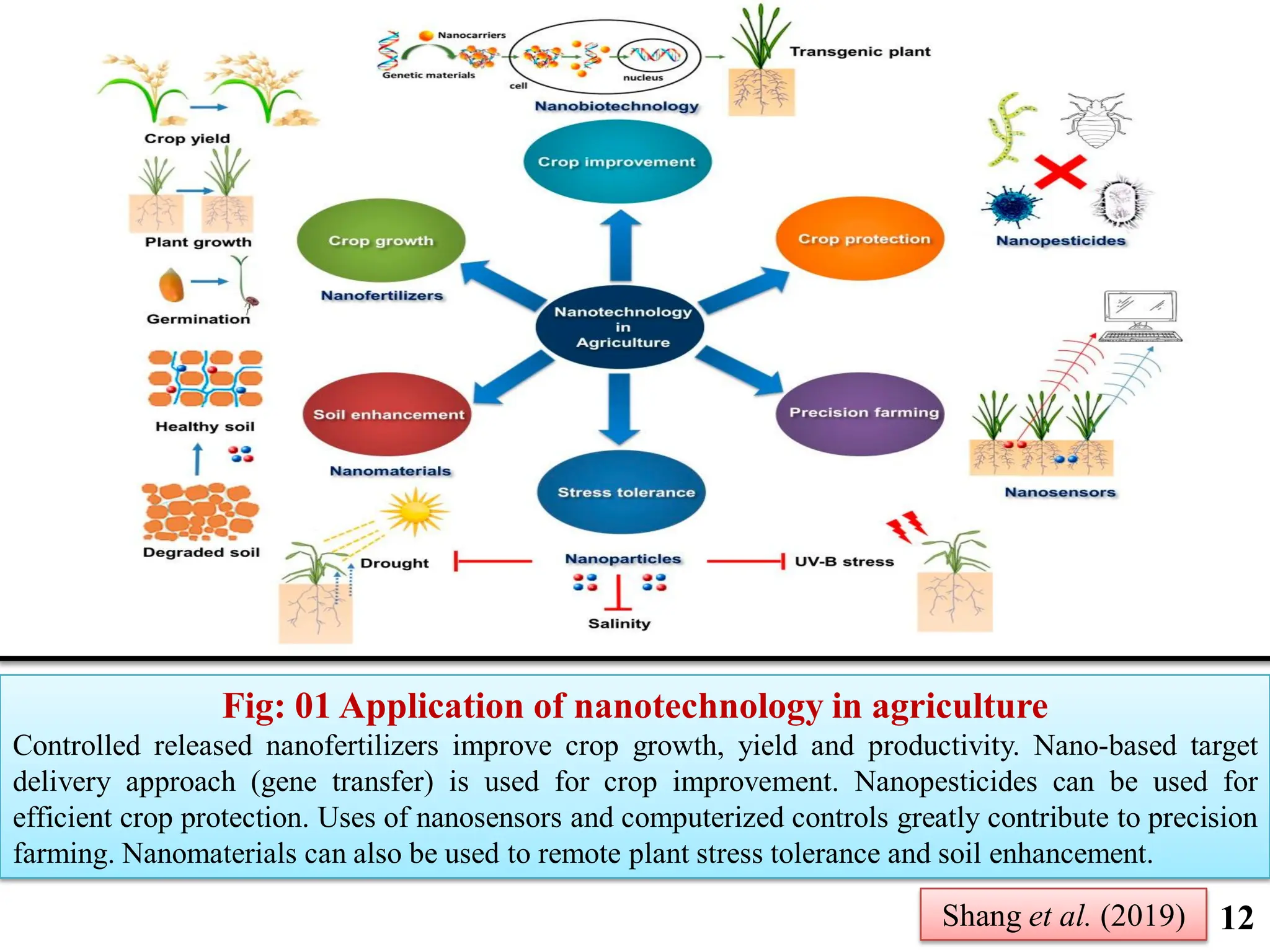 Role of nanotechnology in management of stored grain pests of cereals ...