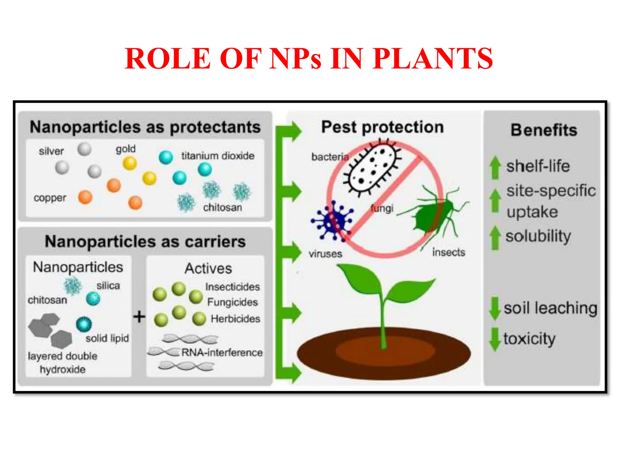 Role of Nano technology in Plant disease management | PPTX