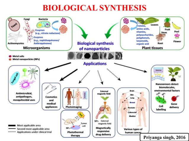 Role of Nano technology in Plant disease management | PPTX | Chemistry | Science