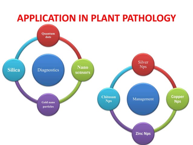 Role of Nano technology in Plant disease management | PPTX | Chemistry | Science