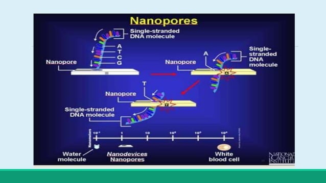 role of nanotechonolgy in diagnostic pathology.pptx | Chemistry | Science
