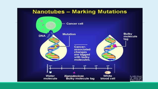 role of nanotechonolgy in diagnostic pathology.pptx | Chemistry | Science