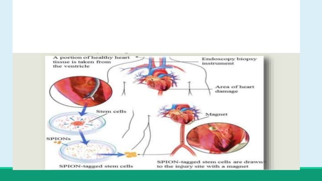 role of nanotechonolgy in diagnostic pathology.pptx | Chemistry | Science