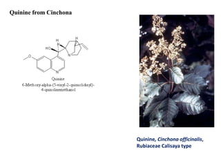Role of natural product in drug discovery | PPTX