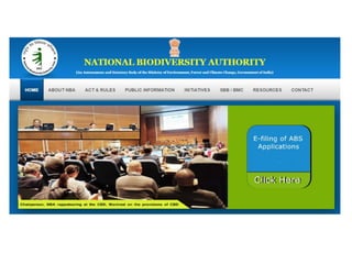 Role of NBA in patent filing | PDF