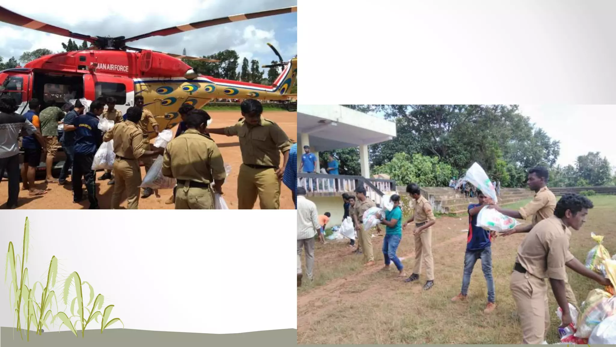 Role of ncc in disaster management | PPTX