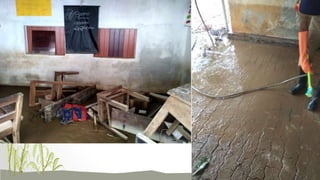 Role of ncc in disaster management | PPTX
