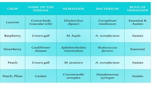 Role of neamtode diseases complex nematology | PPTX