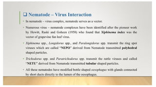 Role of neamtode diseases complex nematology | PPTX