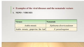 Role of neamtode diseases complex nematology | PPTX