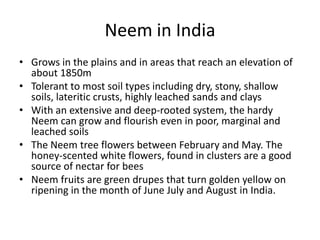 Role of neem in organic farming | PPTX