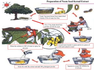 Role of neem in organic farming | PPTX