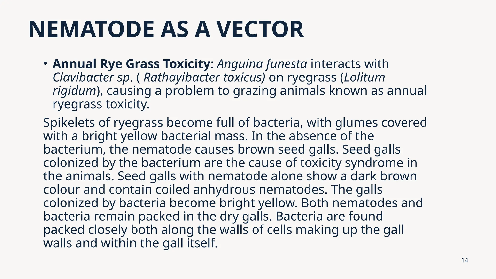 ROLE OF NEMATODES IN NEMATODE BACTERIAL DISEASE COMPLEX.pptx