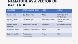 ROLE OF NEMATODES IN NEMATODE BACTERIAL DISEASE COMPLEX.pptx