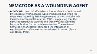 ROLE OF NEMATODES IN NEMATODE BACTERIAL DISEASE COMPLEX.pptx