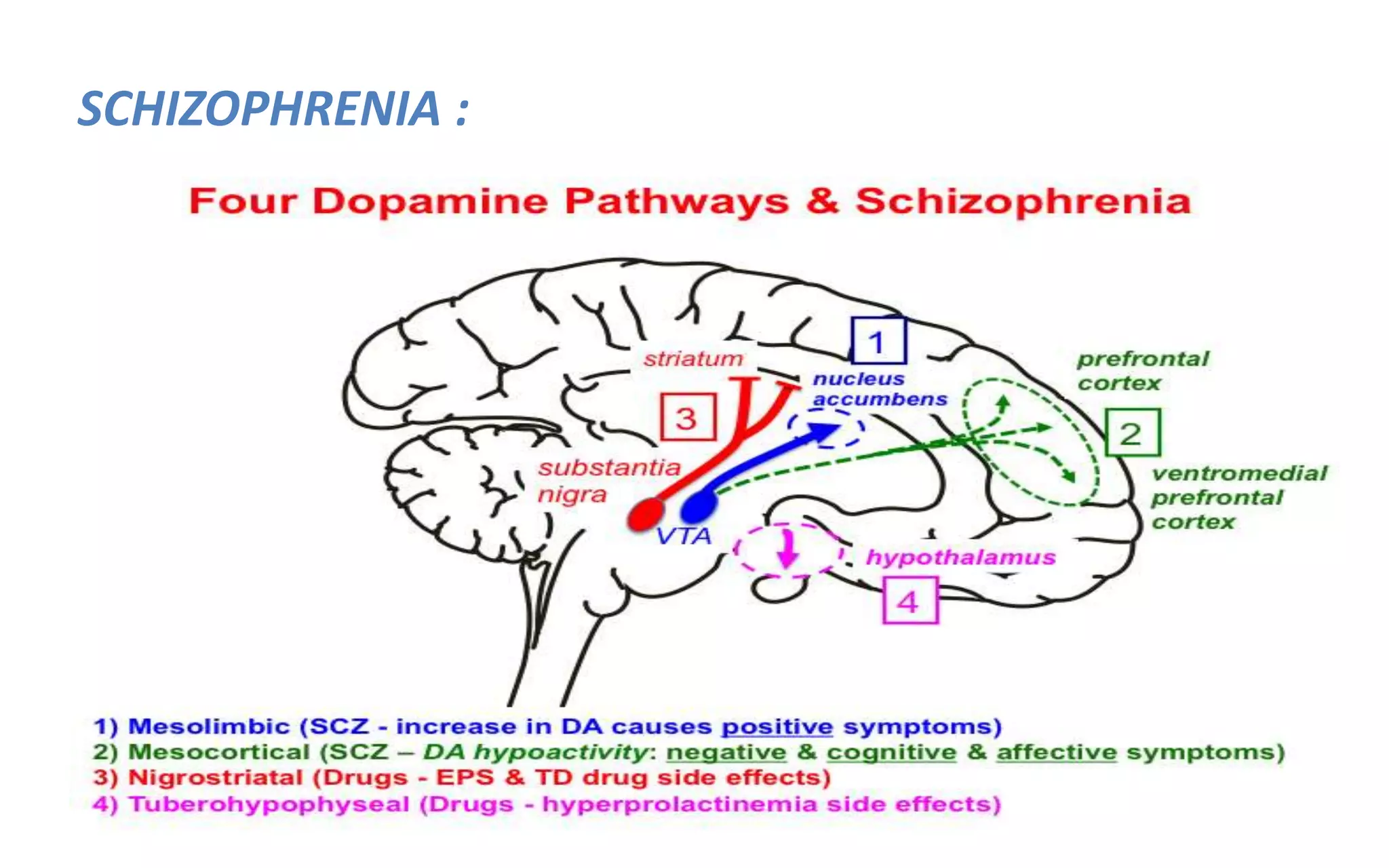 Role of Neurotransmitter Dopamine in Symptoms of Schizophrenia-1.pptx