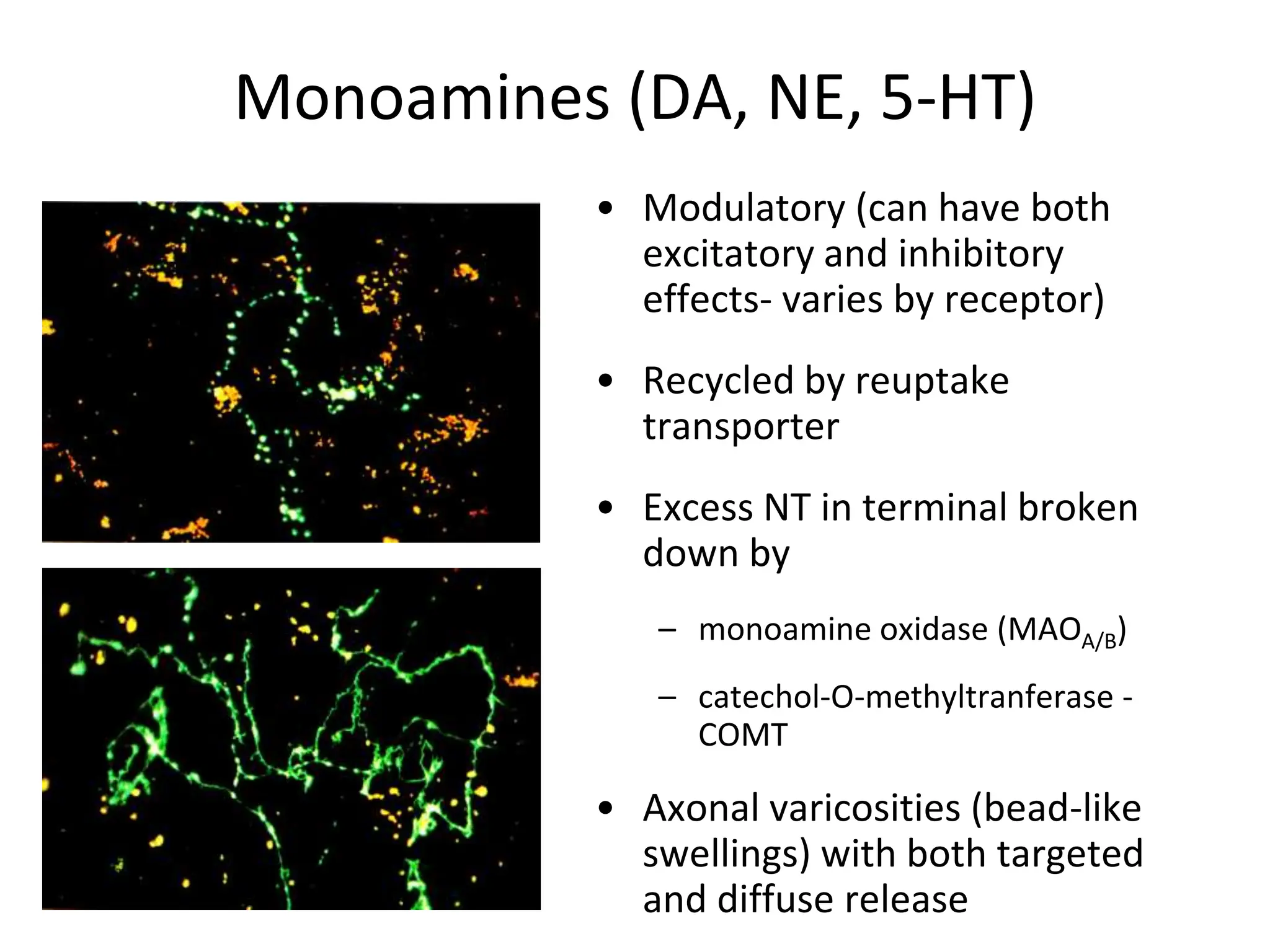 Role of Neurotransmitters with their detailed description | PPT
