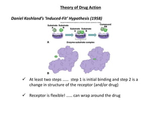 Role of Neurotransmitters with their detailed description | PPT