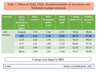 Role of new generation plant bioregulators in fruit | PPTX