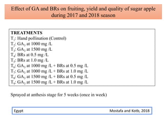 Role of new generation plant bioregulators in fruit | PPTX