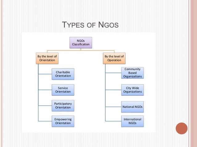 Role_of_NGOs_In_Disaster_Management.pptx