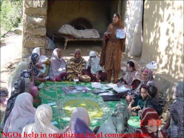 role of ngos in rural development (Pakistan).pdf