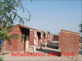 role of ngos in rural development (Pakistan).pdf