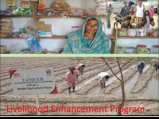 role of ngos in rural development (Pakistan).pdf