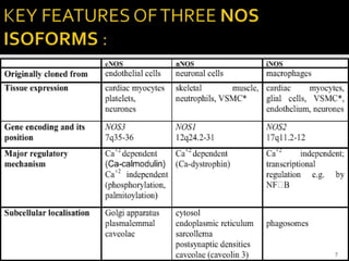 Role of nitric oxide in cell signaling | PPTX