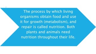 Role of nitrogen (n) (2) | PPTX