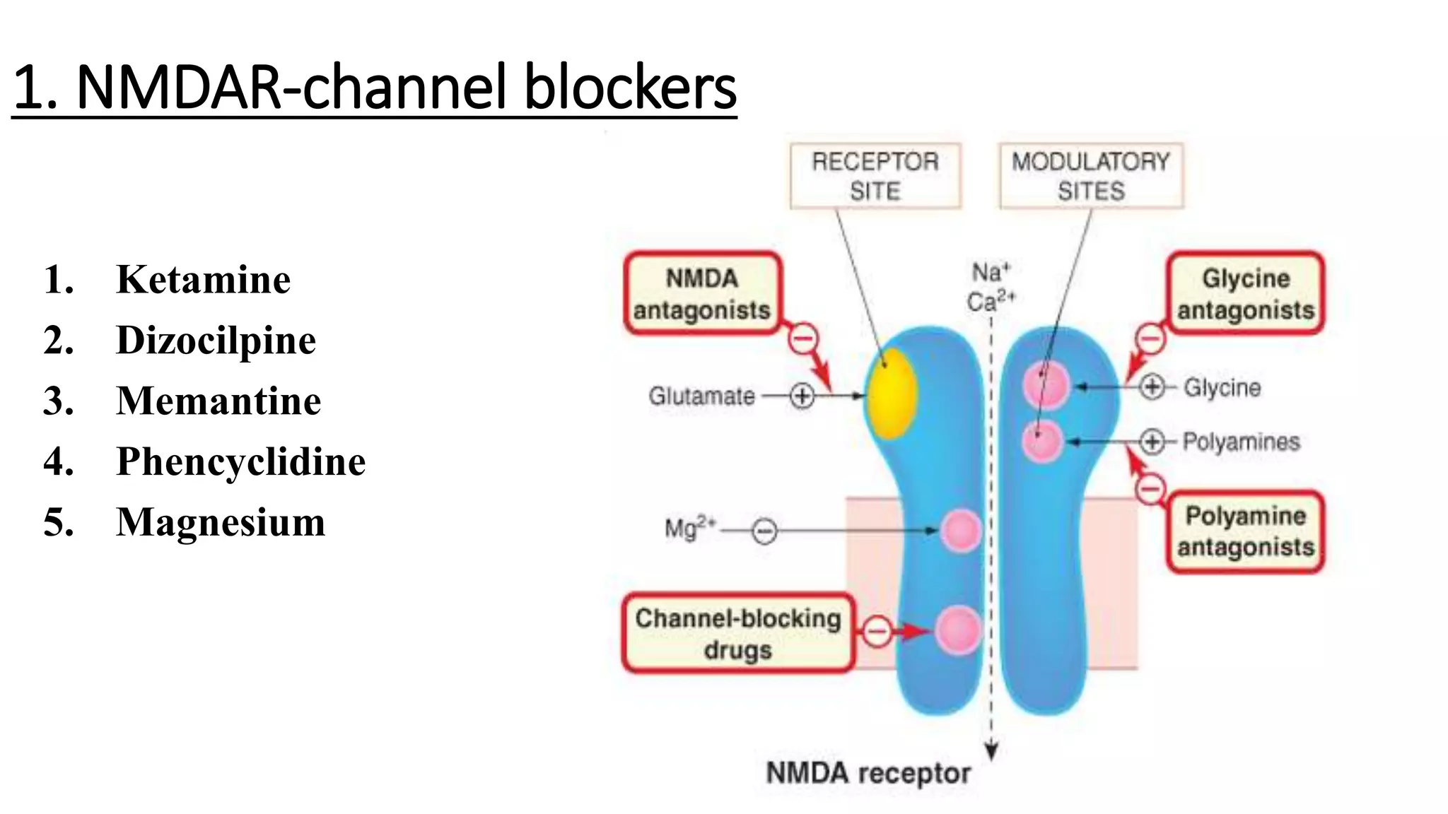 Role of nmda receptors and drugs affecting it | PPTX
