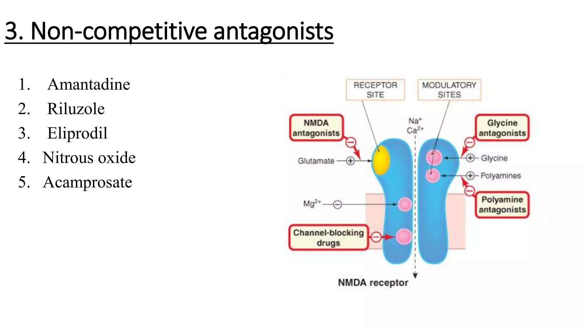 Role of nmda receptors and drugs affecting it | PPTX
