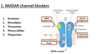 Role of nmda receptors and drugs affecting it | PPTX