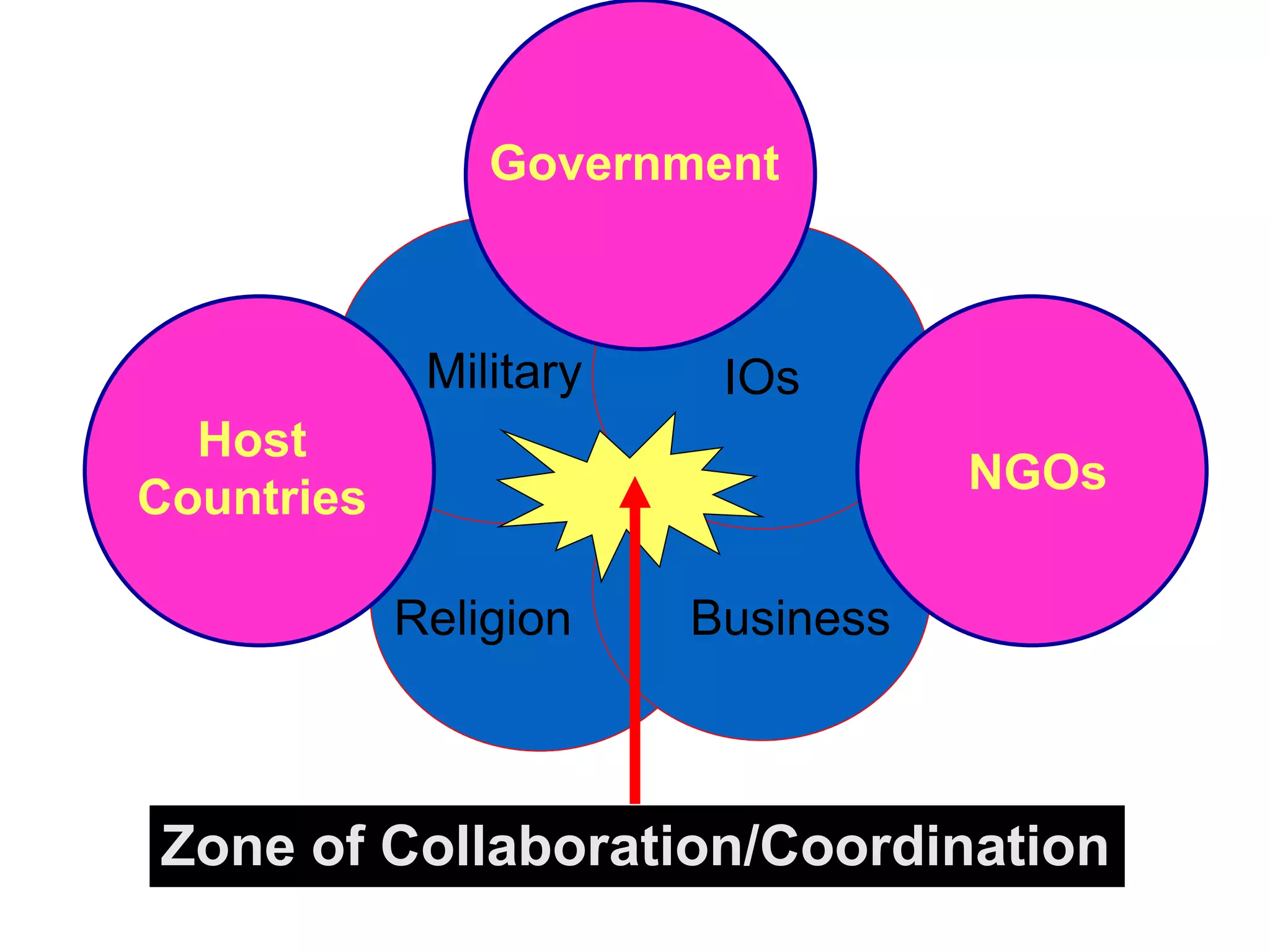 Role of non government organizations in disaster management | PPTX
