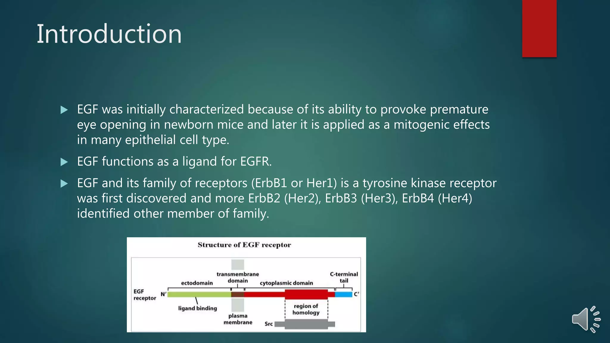 Role of normal and altered egfr | PPTX