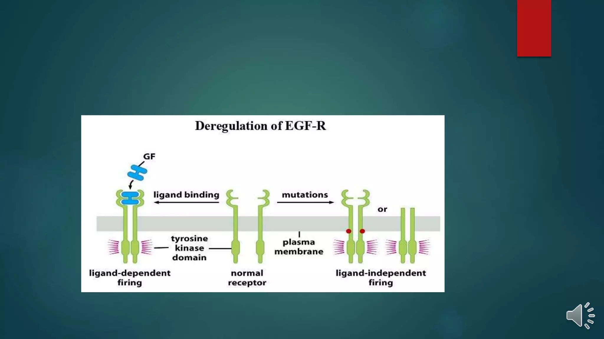 Role of normal and altered egfr | PPTX