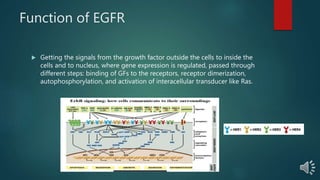 Role of normal and altered egfr | PPTX