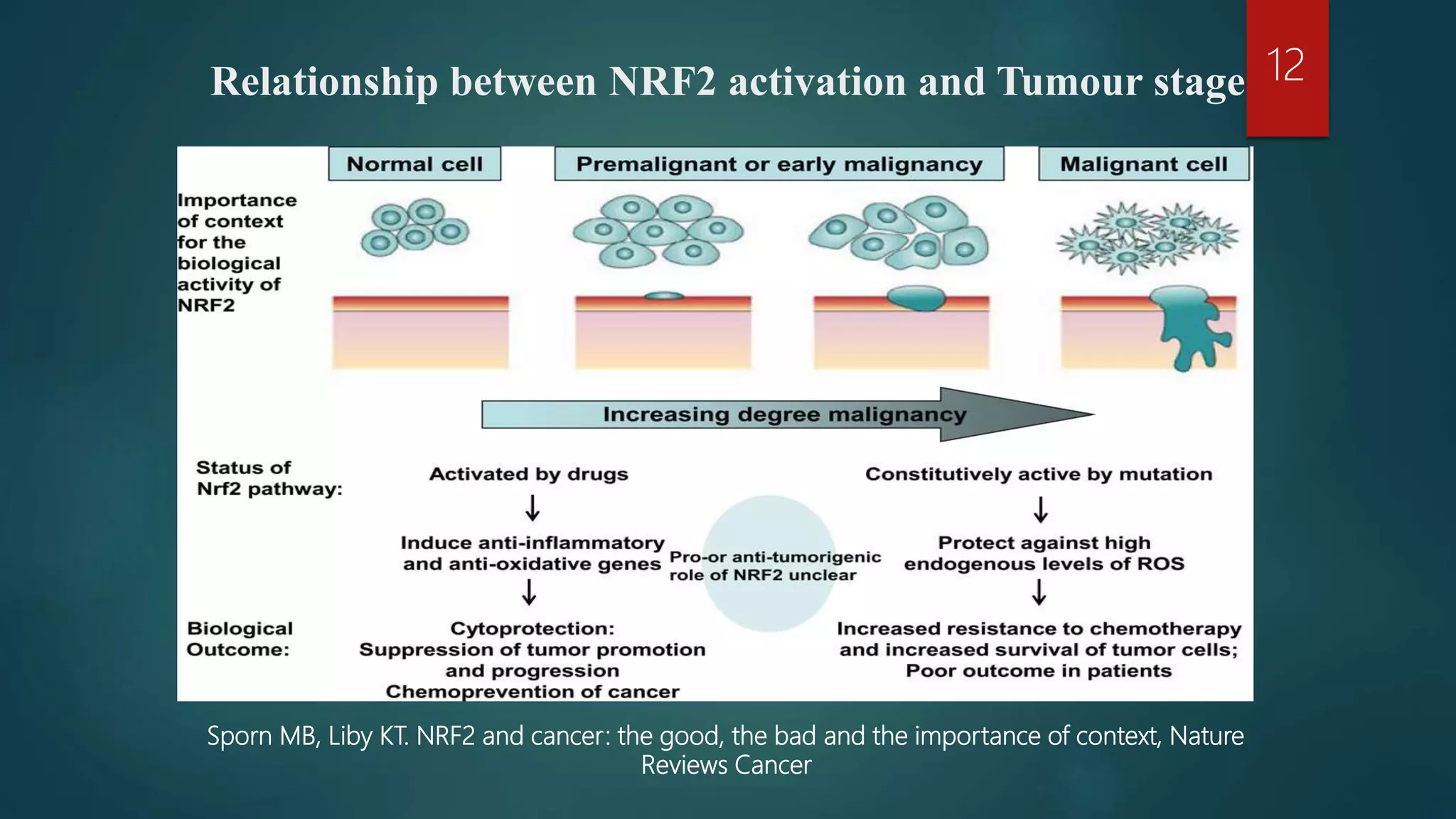 Dual role of NRF2 in Cancer | PPTX