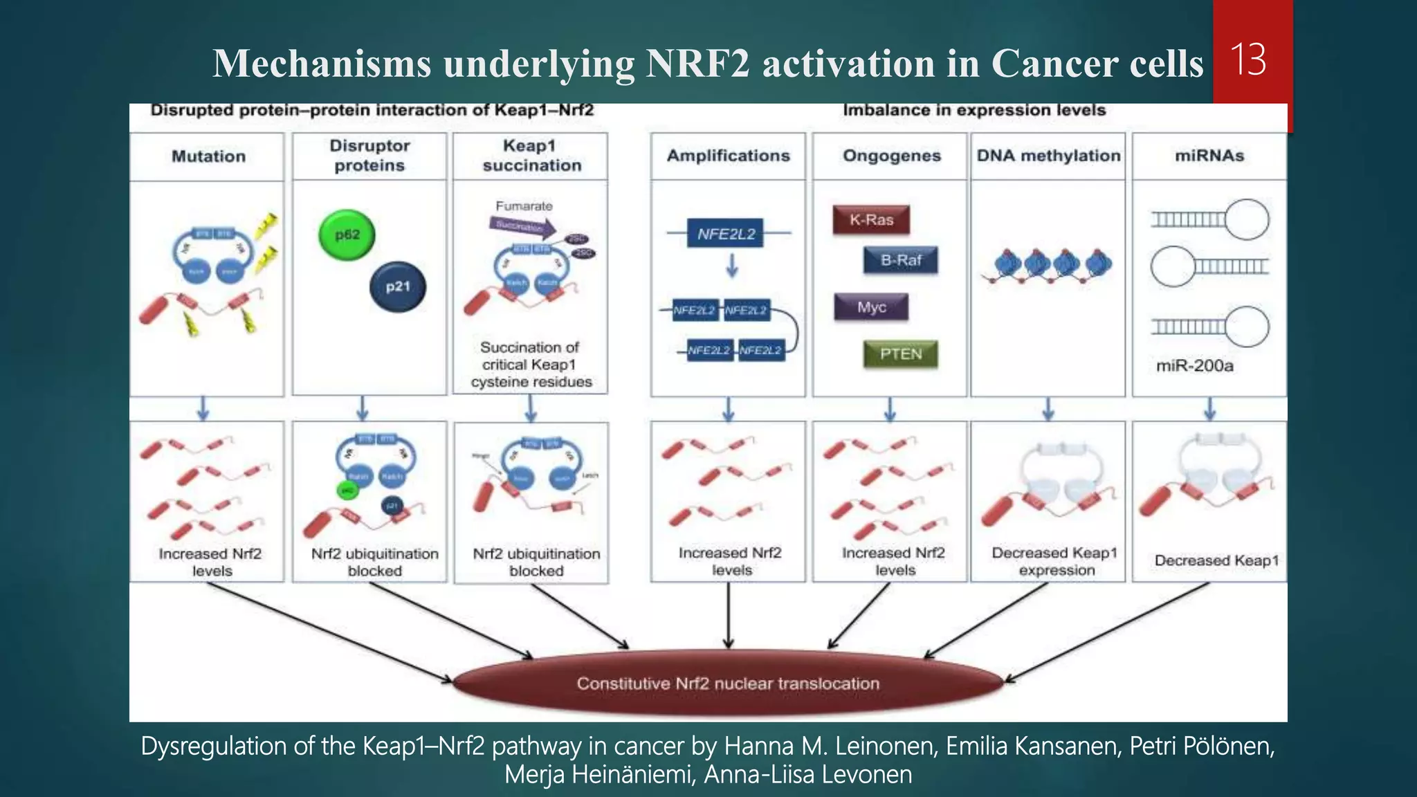 Dual role of NRF2 in Cancer | PPTX
