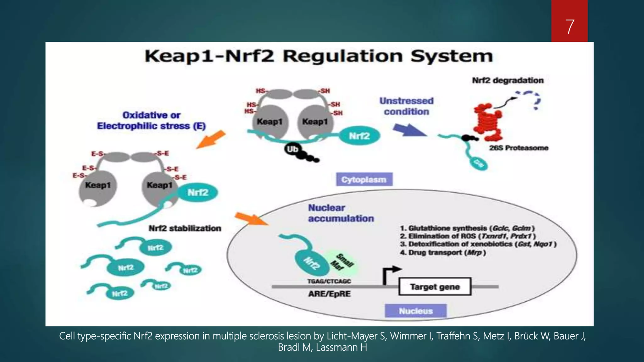 Dual role of NRF2 in Cancer | PPTX