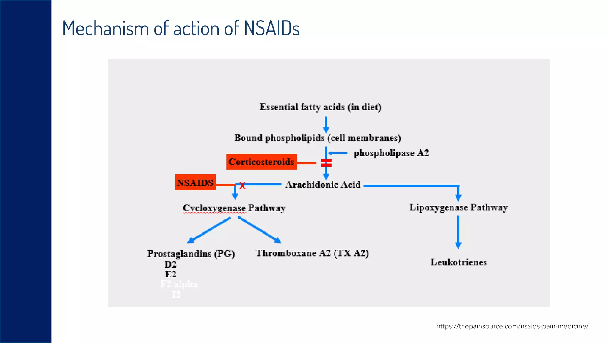 Role of NSAIDs in Pain Management - Slide Kit 2022.pptx