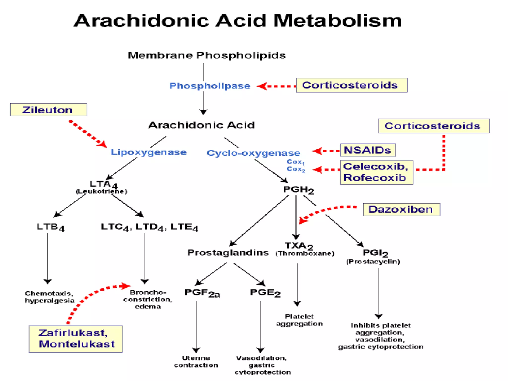Role of nsai ds in periodontal therapy | PPTX | Dental Health ...
