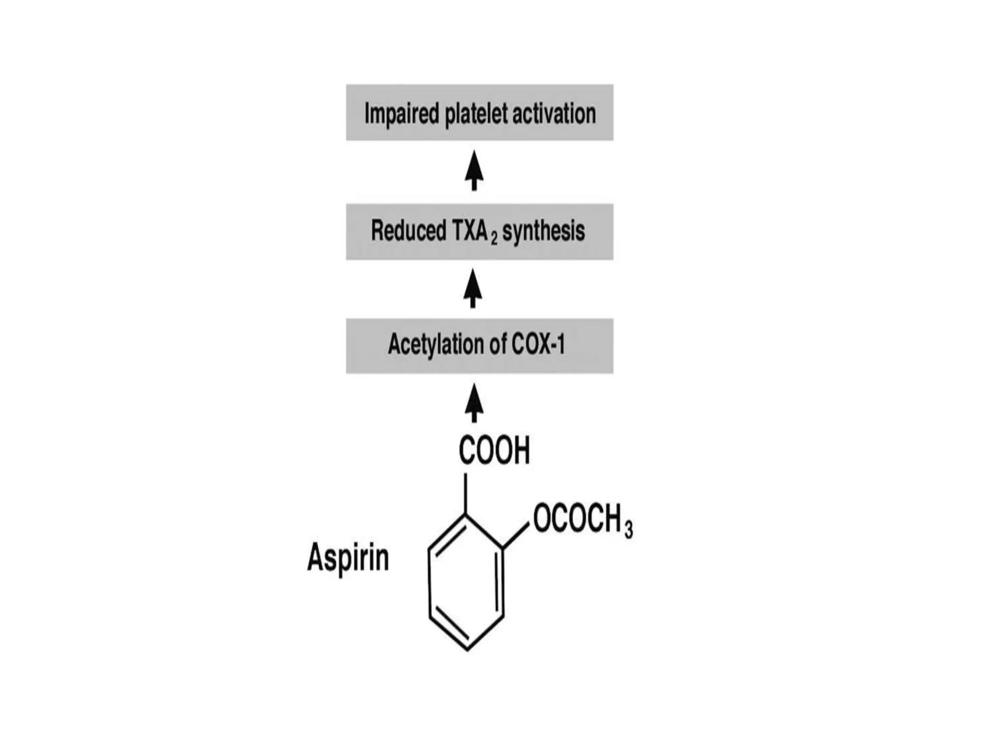 Role of nsai ds in periodontal therapy | PPTX | Dental Health ...