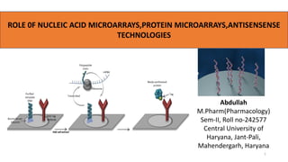 Role of nucleic acid (DNA) microarrays, Protein microarrays and ...