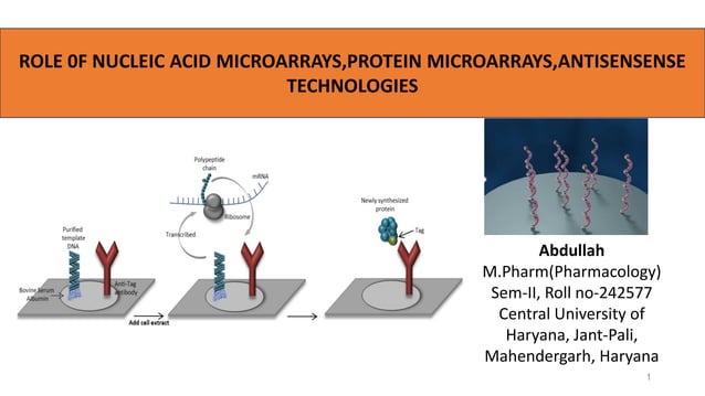 Role of nucleic acid (DNA) microarrays, Protein microarrays and ...