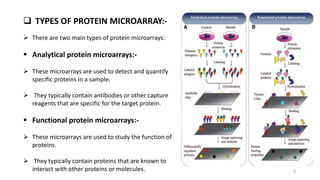 Role of nucleic acid (DNA) microarrays, Protein microarrays and ...