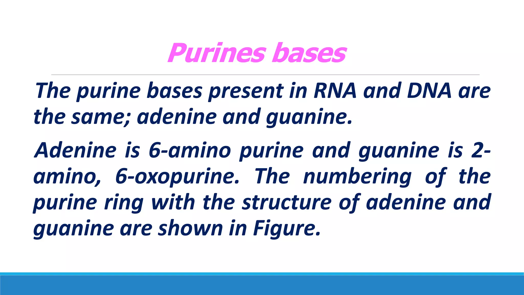Role of nucleotides in infant formula | PPTX