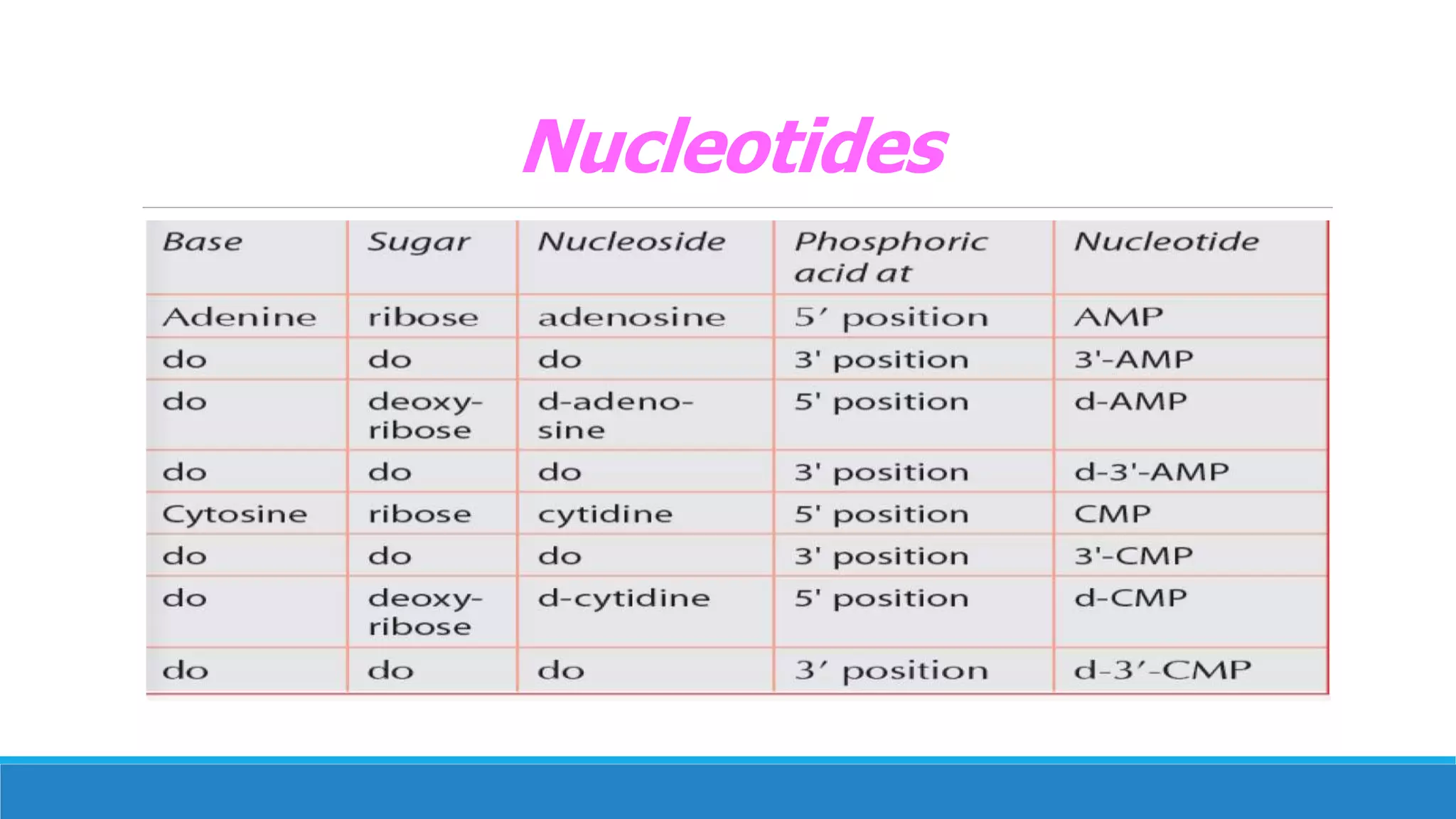 Role of nucleotides in infant formula | PPTX